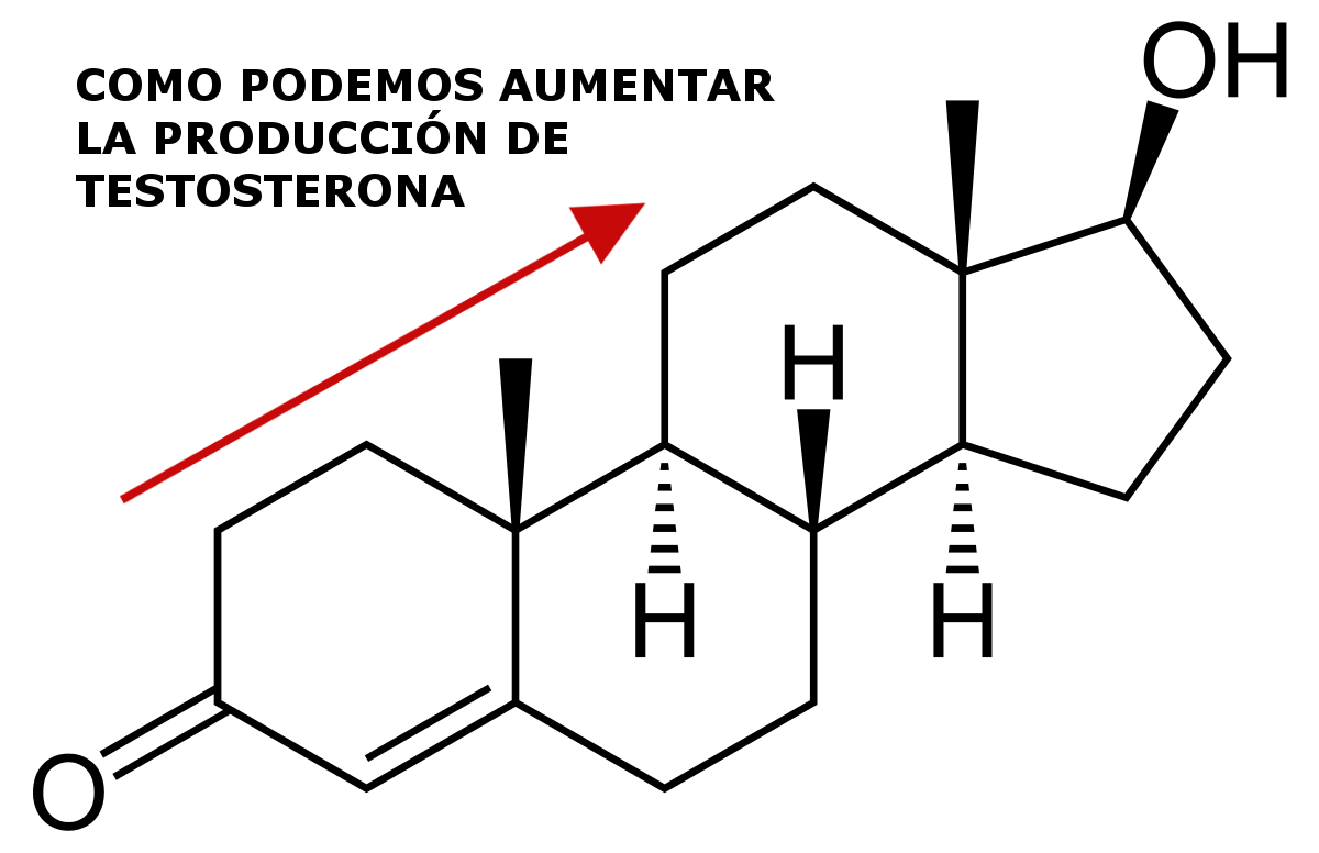 Mejora el nivel de testosterona con alimentos - Boteprote BLOG