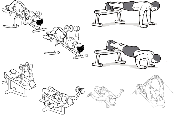 Press de Banca Declinado con barra - Boteprote BLOG